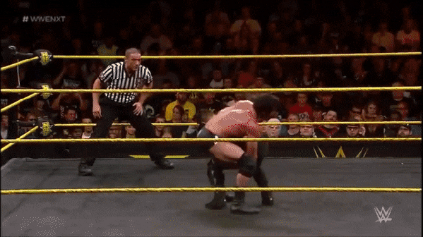 Wrestling Vocab
